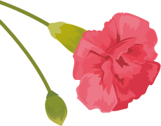 バックオフィスのDX化や業務改善のための情報収集！経営管理の課題解決につながる manegy toB